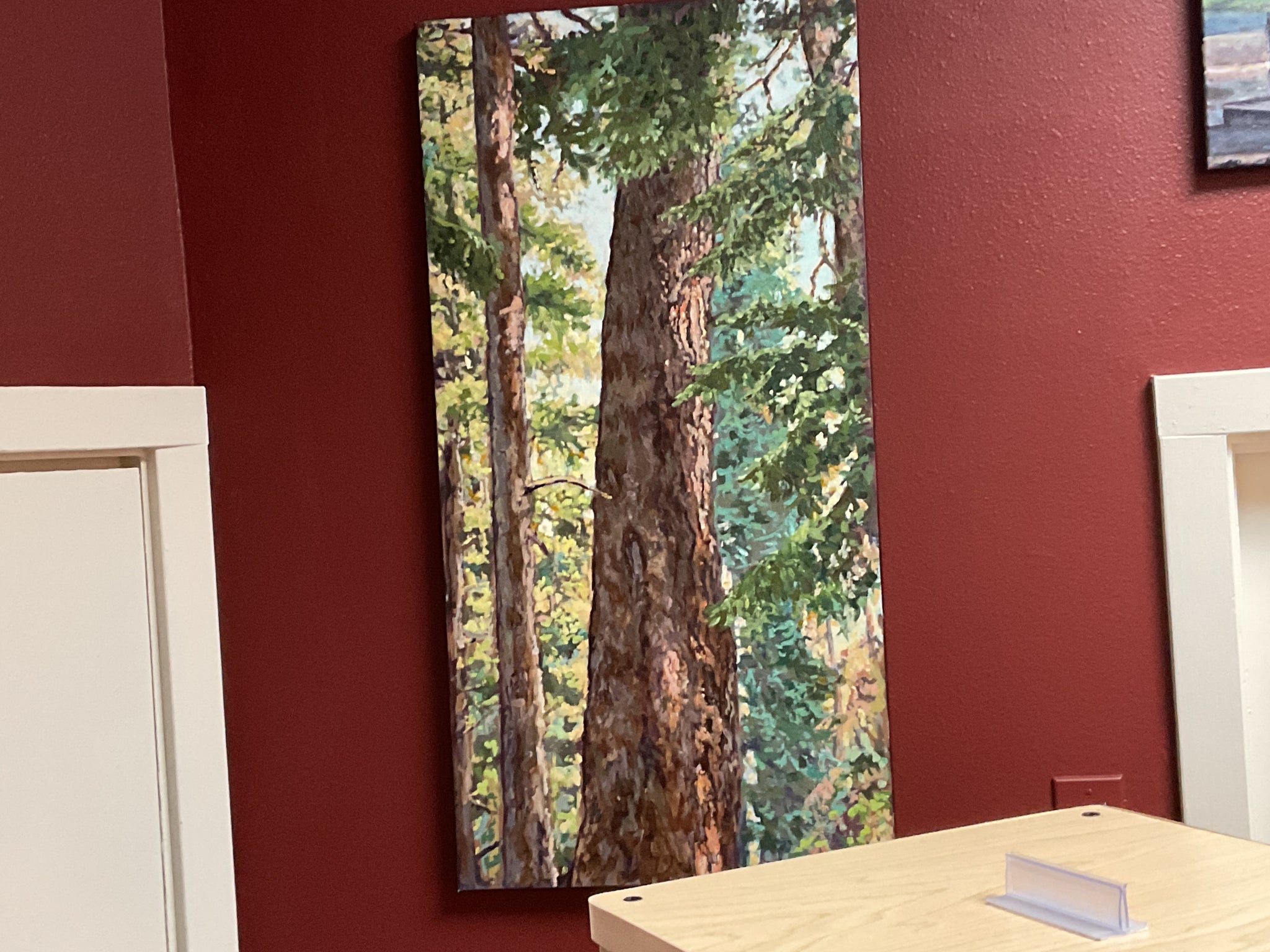 Bark Glow By Andrew Sheldon